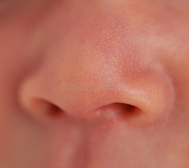 Close up nose of baby stock image. Image of happy, baby - 266537009