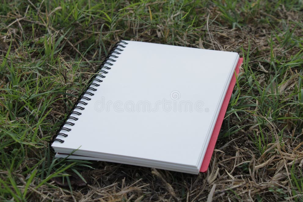 Close-up of a Note on the Ground. Stock Image - Image of meadow, soil ...