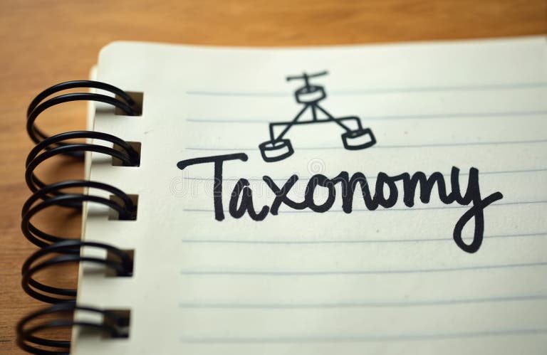 Structure Classification Stock Illustrations – 2,312 Structure ...