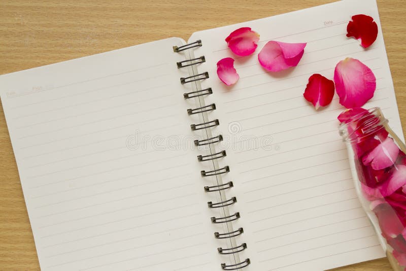 Close Up the Notebook and Rose Stock Image - Image of white, table ...