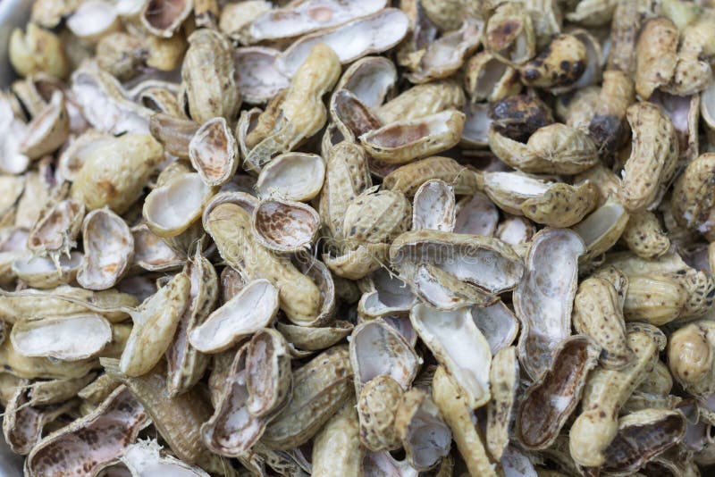 Close up nut shell stock photo. Image of healthy, peanuts - 34841992