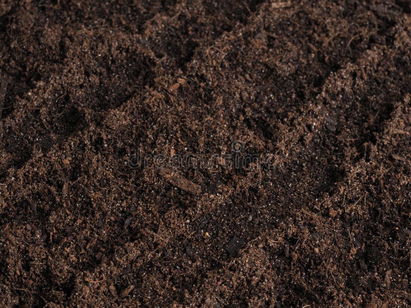 Close-up of the Nutrient-rich Soil Stock Photo - Image of nutrient ...