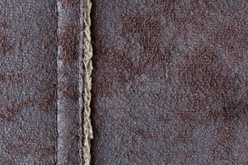 Book shell texture stock photo. Image of shell, literature - 86567568
