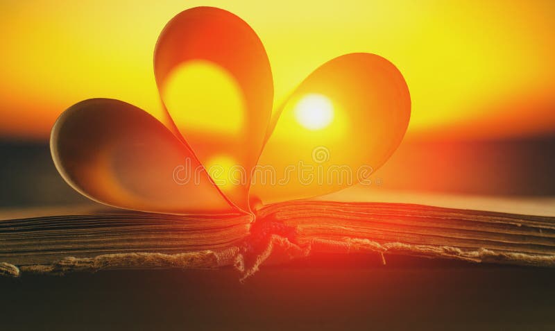 Close Up Old Book on Sunset Background Stock Image - Image of concept ...