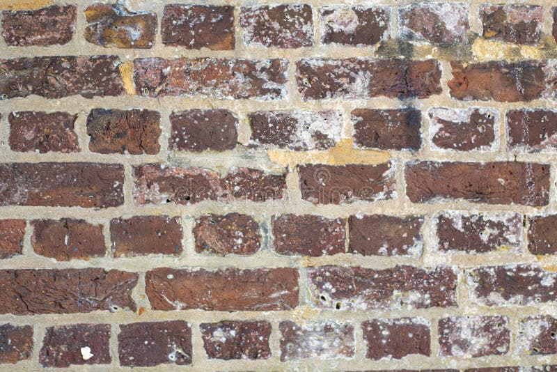 Floor Tile Devon Stock Photos - Free & Royalty-Free Stock Photos from ...