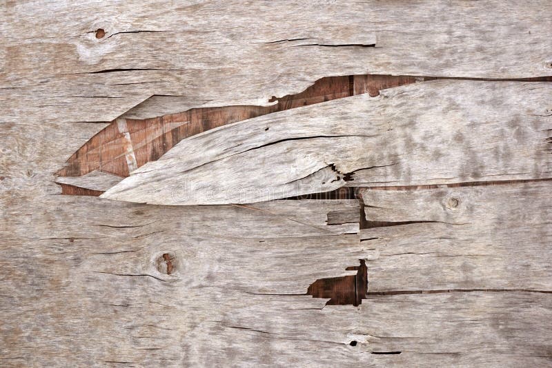 Old Broken Wood Plank Texture Stock Image - Image of close, abstract ...