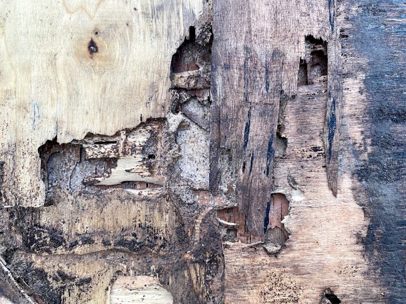 Old Broken Wood Texture Background Stock Photo - Image of white, crack ...