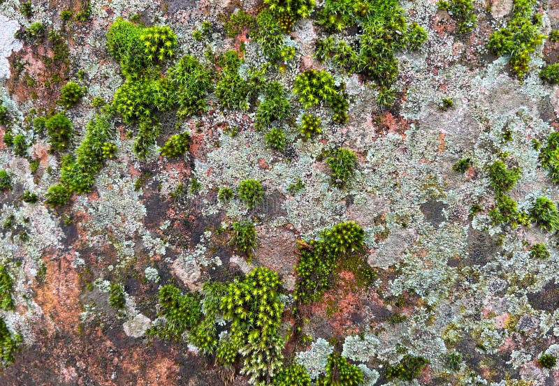 Close Up of an Old Ceramic Jar on the Exterior with Lots of Texture ...