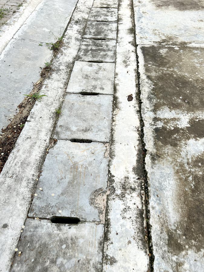 Old Concrete Pavement with a Lot of White Bricks Stock Photo - Image of ...