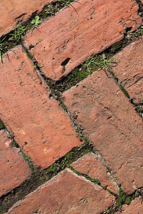 Old Brick Path stock image. Image of path, textures, abstract - 7208225