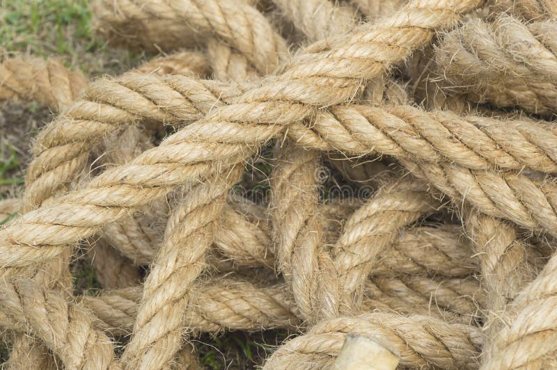 Close-up of an Old Rope As a Grass Background, Rope Cluster Stock Image ...