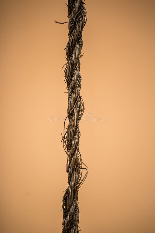 Close Up of an Old Rope Hanging with Pink Background Stock Photo ...