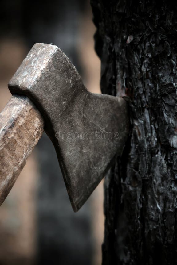 Old Rustic Axe Embedded in Charred Tree Trunk Stock Image - Image of ...