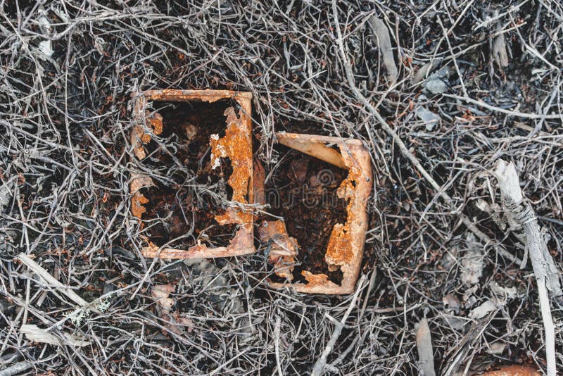 Old Rusty Oil Cans stock photo. Image of metal, oxidation - 25339478