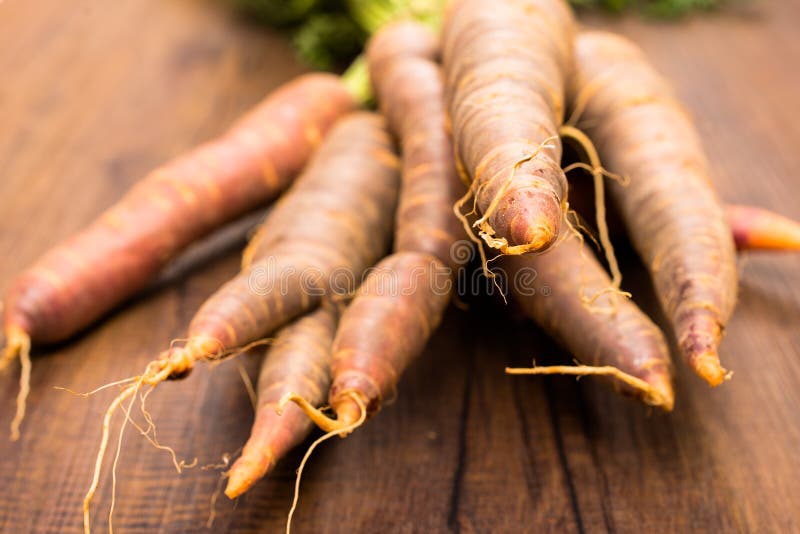 Old Sort of Carrots in Vertical Format Stock Photo - Image of fresh ...