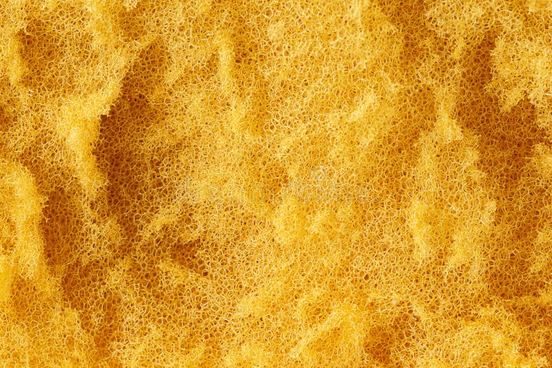 Close Up Old Sponge Surface Background Stock Photo - Image of abstract ...