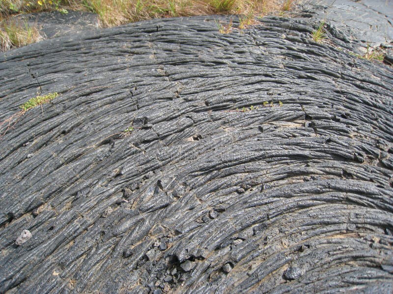Close-up of Old Volcanic Lava Field with Growing Stock Image - Image of ...