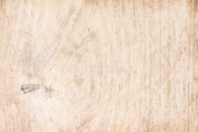 Old Wood Skin Nature Patterns Abstract Background Stock Image - Image ...