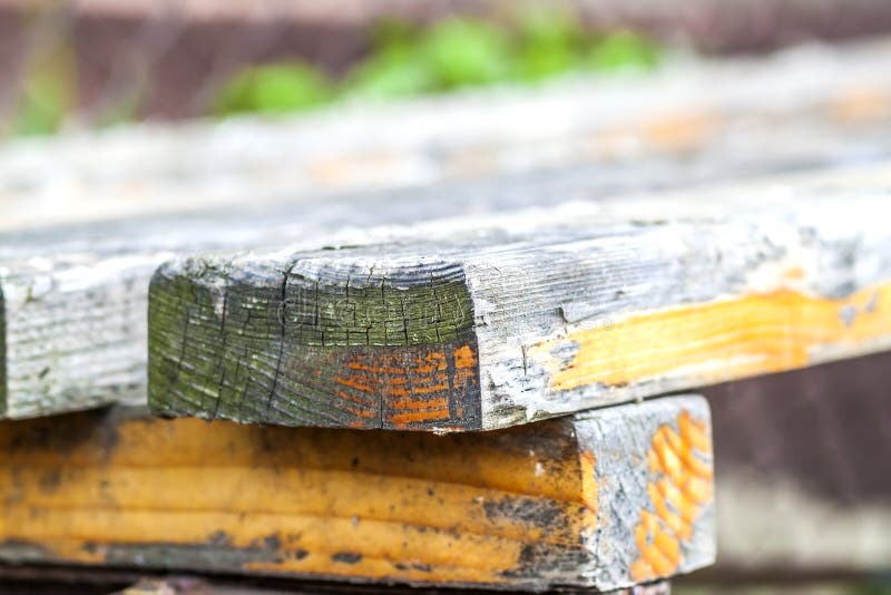 Close Up of Old Wooden Boards on a Bench Stock Image - Image of paint ...