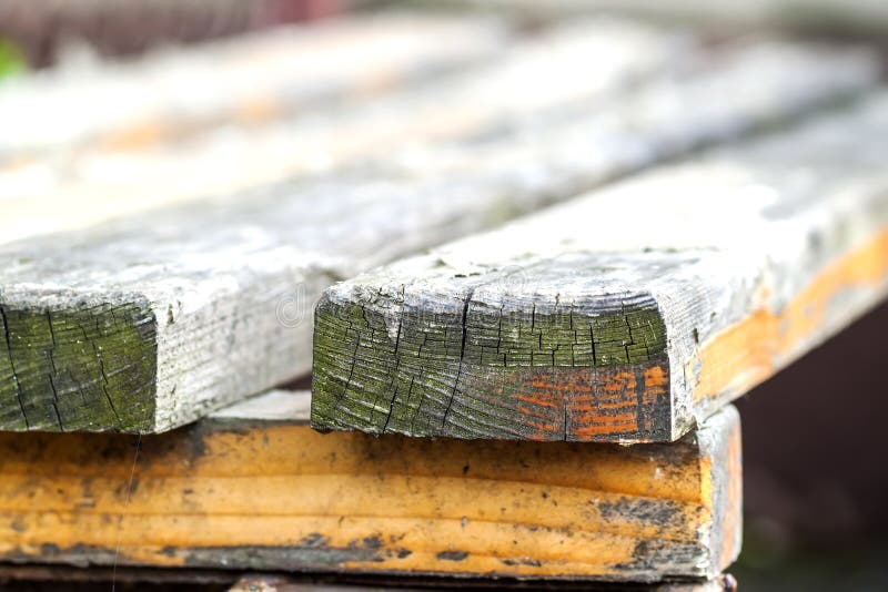 Close Up of Old Wooden Boards on a Bench Stock Image - Image of ...