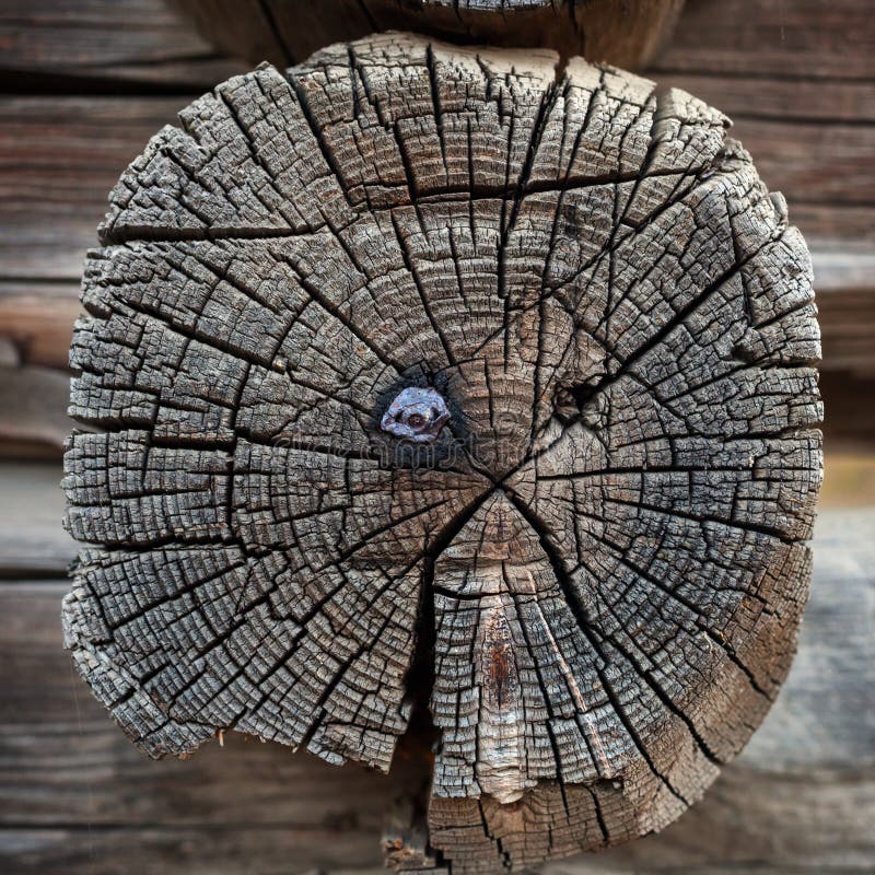 Old log side. stock photo. Image of antique, tiled, planks - 102566790