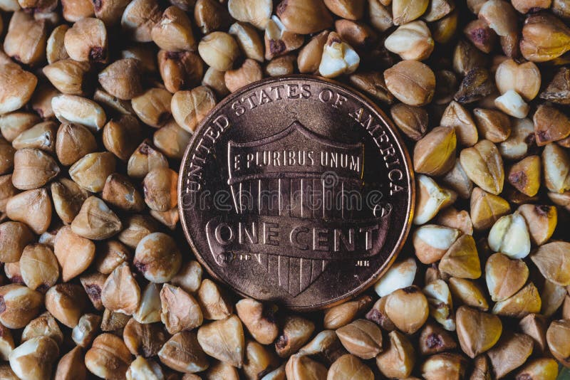 One Cent Coin in Raw Buckwheat Stock Image - Image of liberty, natural ...