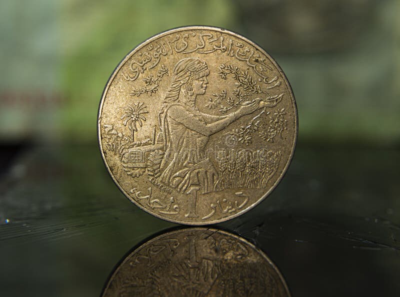 Close-up of a One Tunisian Dinar Coin Stock Image - Image of portrait ...