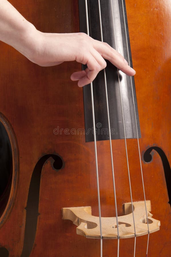 Close-up Op Hand Op Dubbele Bas Het Spelen Pizzicato Stock Afbeelding ...