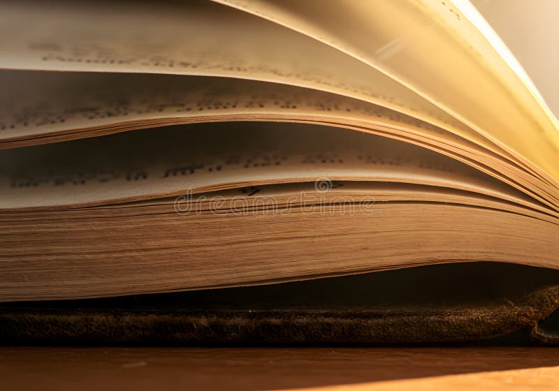 Close-up of Open Aged Book with Yellowed Pages, Strong Light Contrasts ...