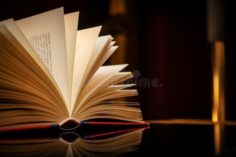 Open book stock image. Image of read, knowing, diary - 212202559