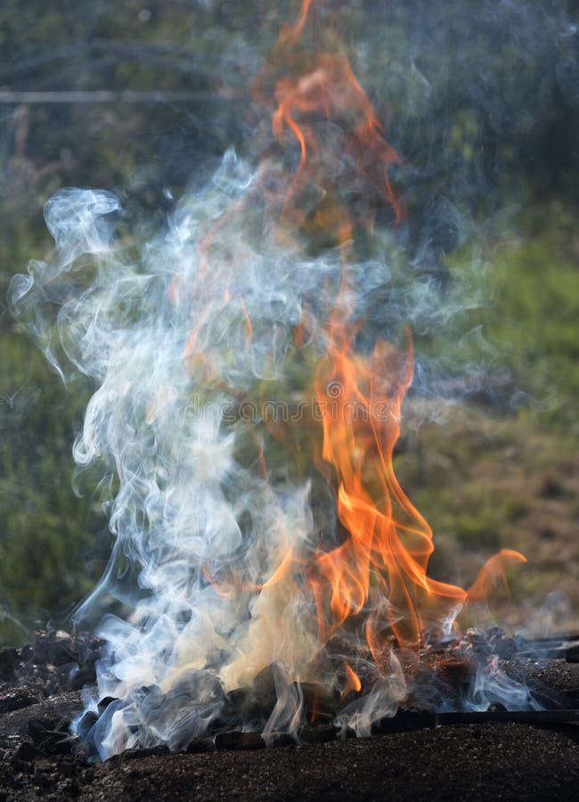Fire and smoke from coal stock photo. Image of released - 260221602