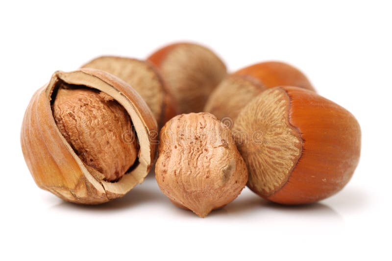Close up open hazelnut stock image. Image of cutout - 111888363