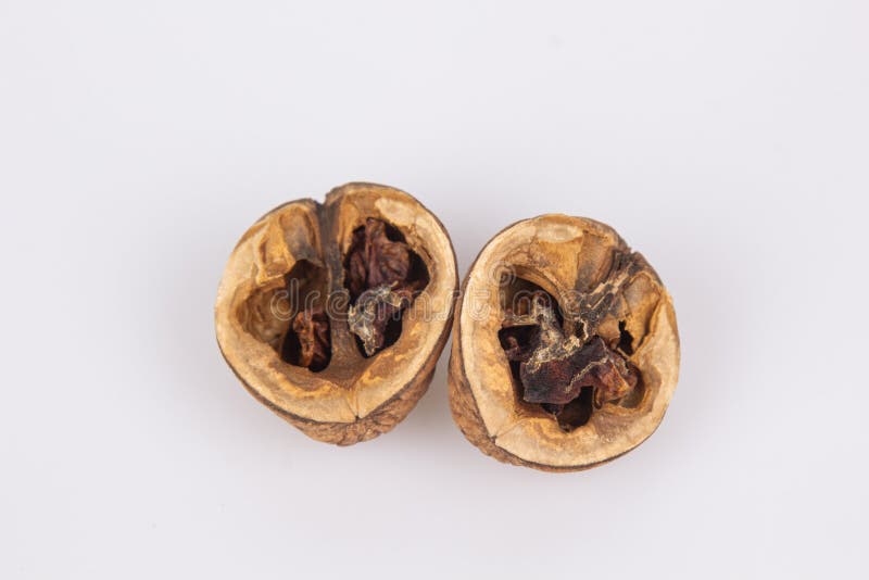 Rotten Walnuts Infected with Mold Stock Photo - Image of background ...
