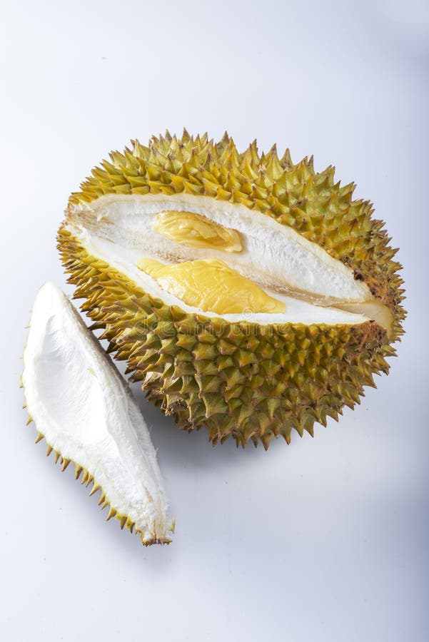Close-up of an Opened Ripe Durian Pulp Stock Image - Image of fresh ...