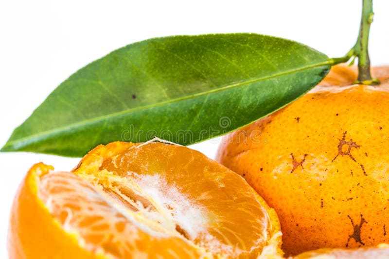 Orange flesh stock photo. Image of nutrition, citrus - 29723444