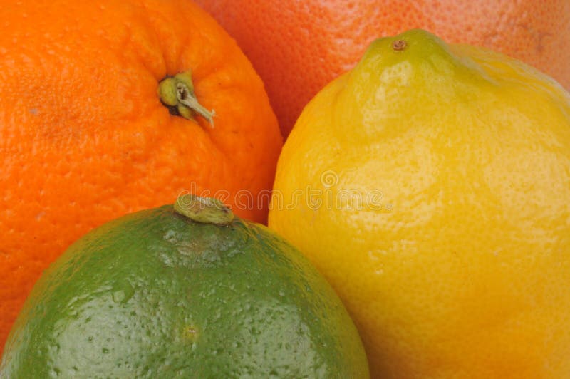 Citrus mix in close-up stock image. Image of orange - 159687689