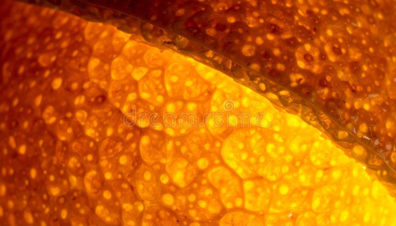Close Up of Orange Peel Texture Stock Illustration - Illustration of ...