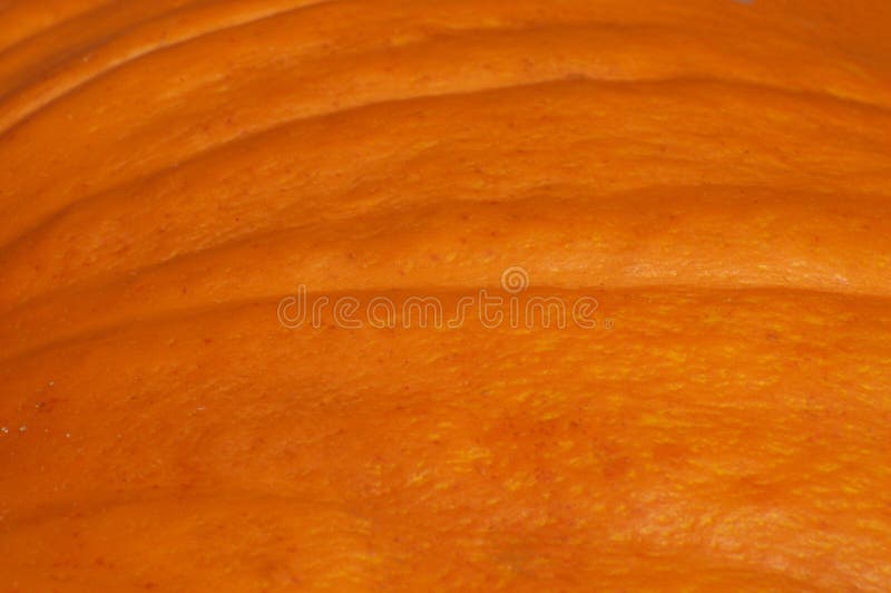 Smooth Texture of Orange Pumpkin Skin Close Up Background Stock Image ...