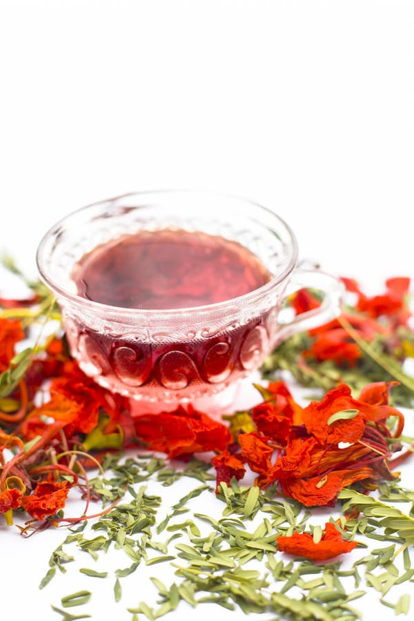 Close Up of Orange or Red Colored Tea of Gular or Flame Tree`s Flowers ...