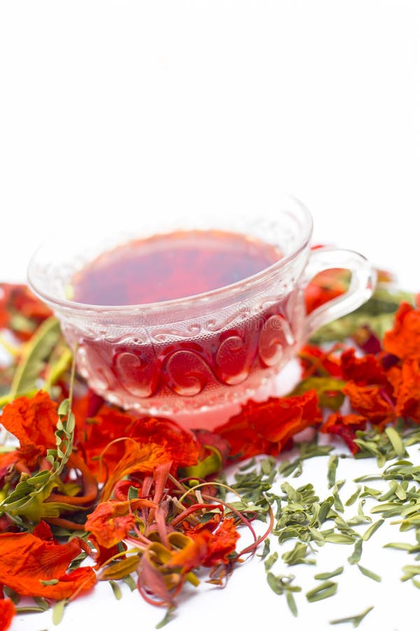 Close Up of Orange or Red Colored Tea of Gular or Flame Tree`s Flowers ...