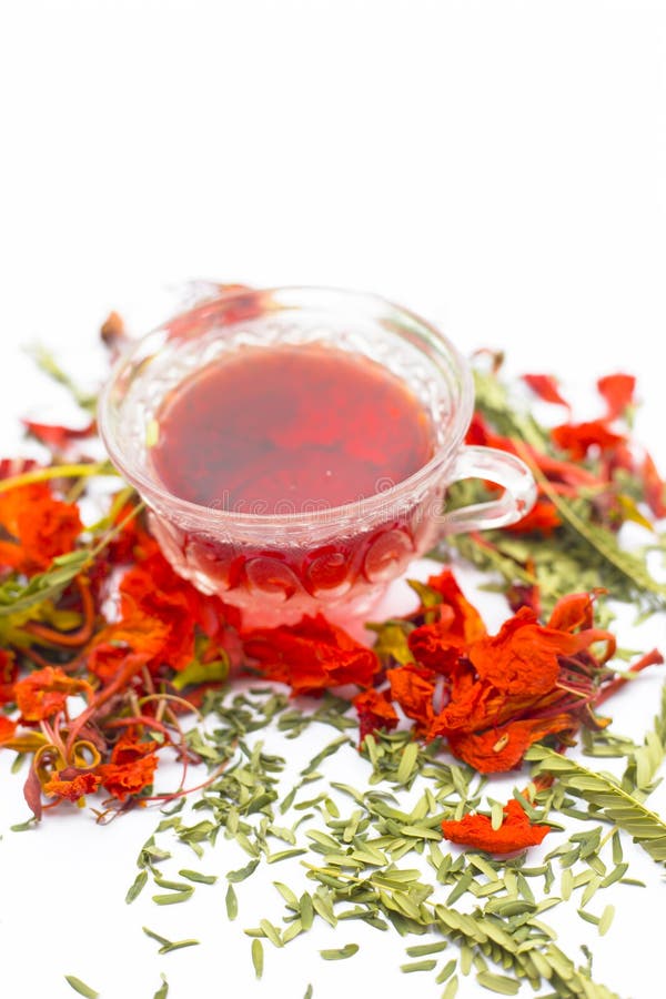 Close Up of Orange or Red Colored Tea of Gular or Flame Tree`s Flowers ...