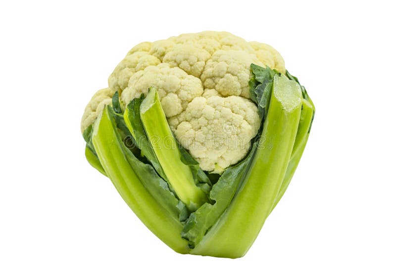 Top View Vegetable in Garden Stock Image - Image of plant, farm: 148487751