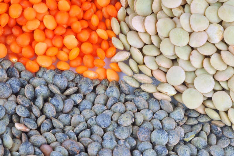 Mix of Dry Lentils of Different Colors Close Up Stock Image - Image of ...