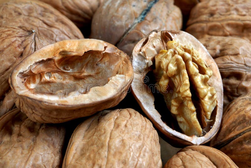 Open Walnut Close-up on Other Nuts Stock Image - Image of fatty ...
