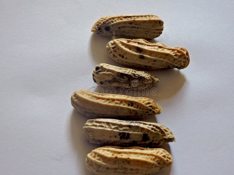 Close-Up of Organic Peanut Shells in a Row Stock Illustration ...