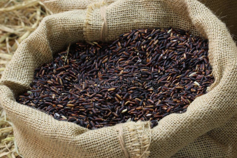 Rice in sack stock image. Image of market, nutrition - 34894545