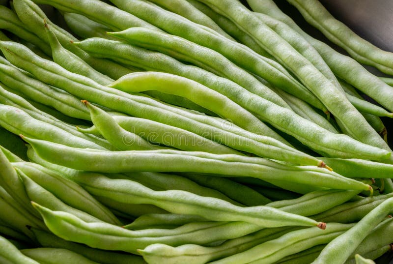 Close Up Organic String Beans in Kitchen Bowl, Fresh String Beans with ...