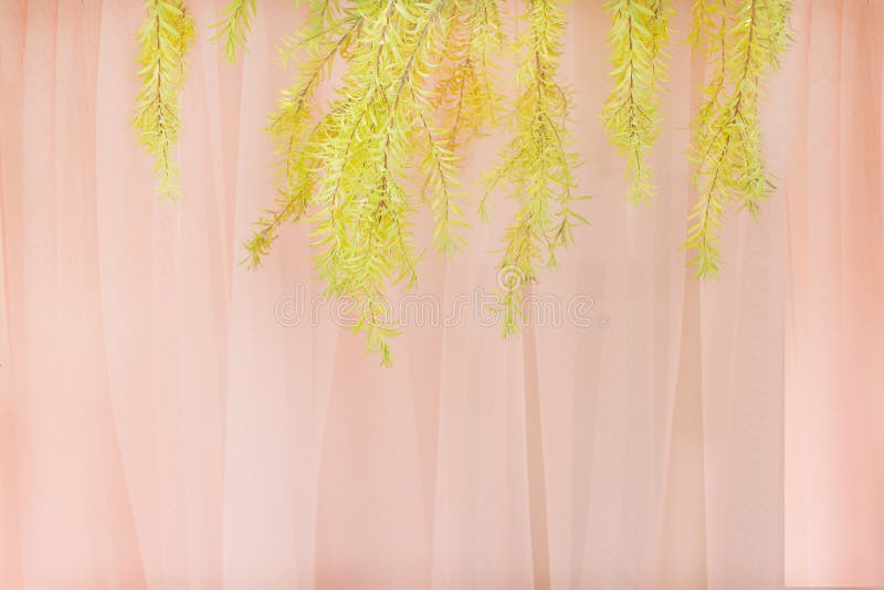 Ornamental Green Leaf Patterns Group on Colorful Light Pink Curtains ...