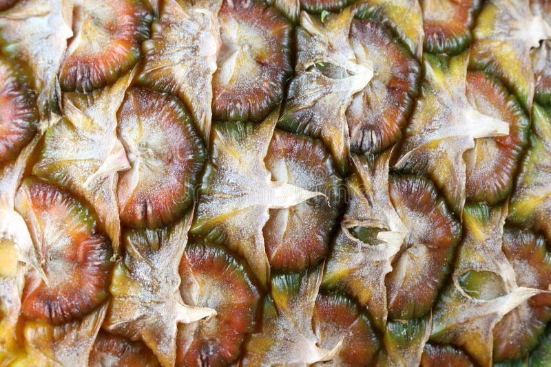 Pineapple Skin Texture Close Up Stock Image - Image of pattern, colors ...