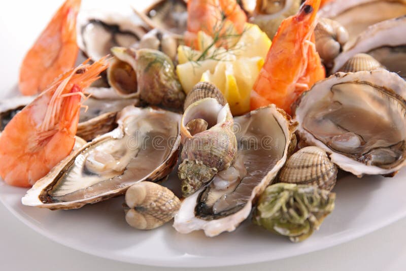 Assorted seafood stock photo. Image of appetizer, christmas - 101742224